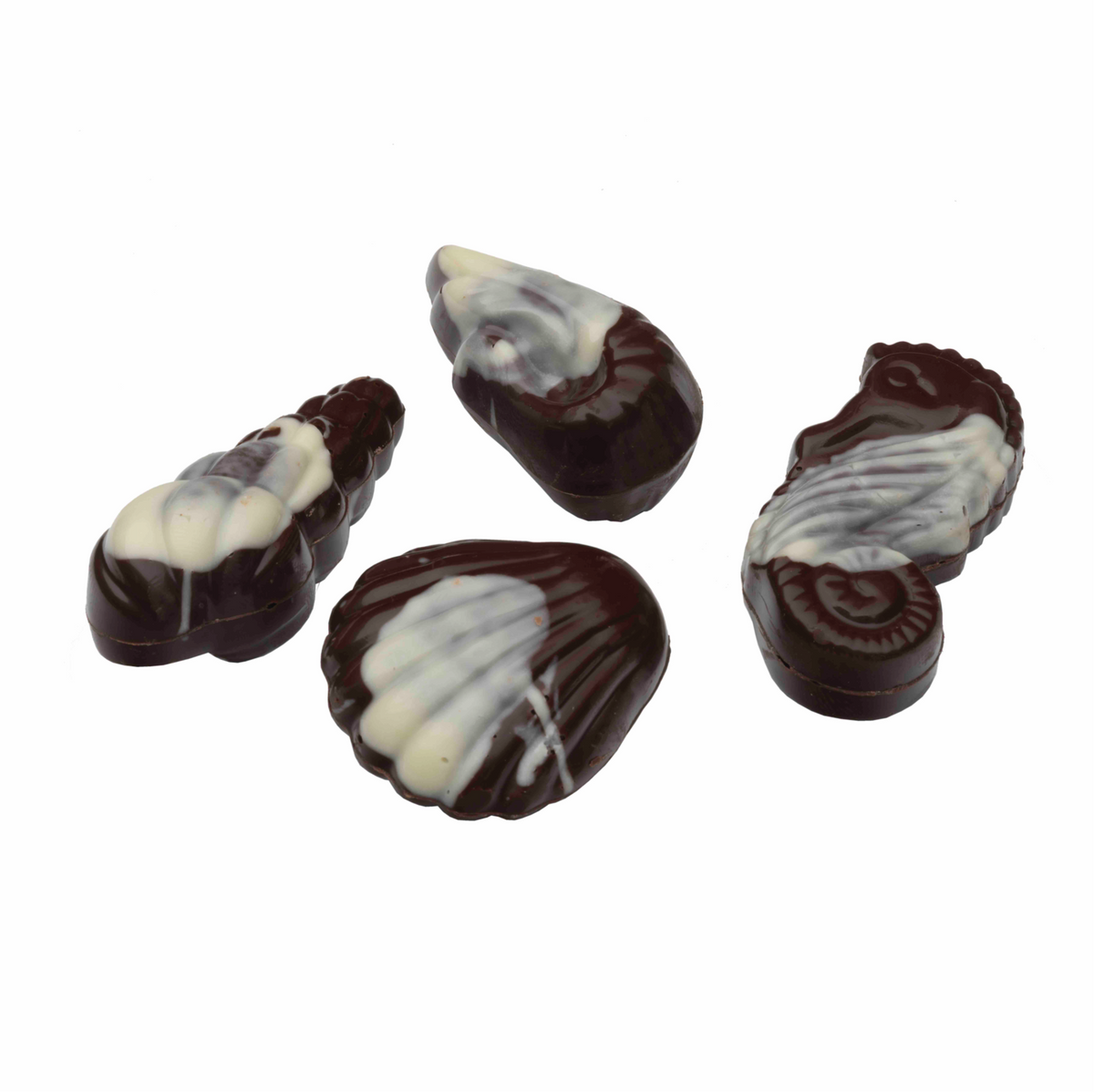 Belgian Chocolate Gift, Chocolate & Hazelnut Sea shells Dark chocolate ...